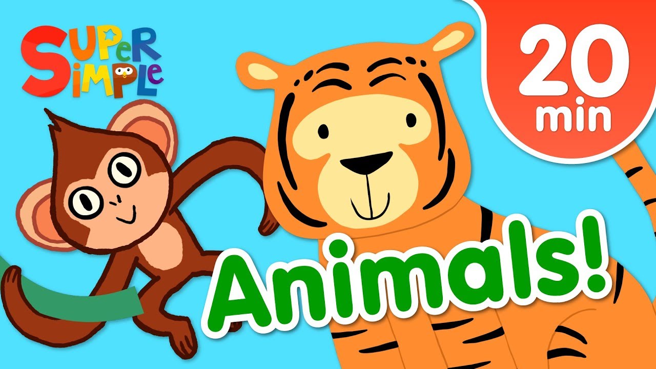 let's go to the zoo - Youtube Kids