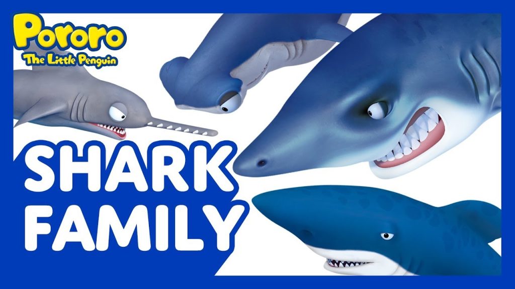 meet shark - Youtube Kids