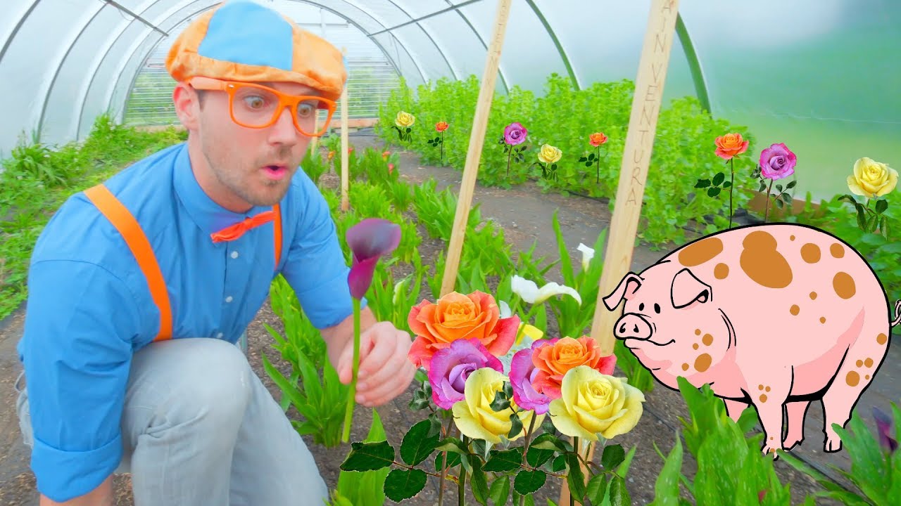 vegetables for kids - Youtube Kids