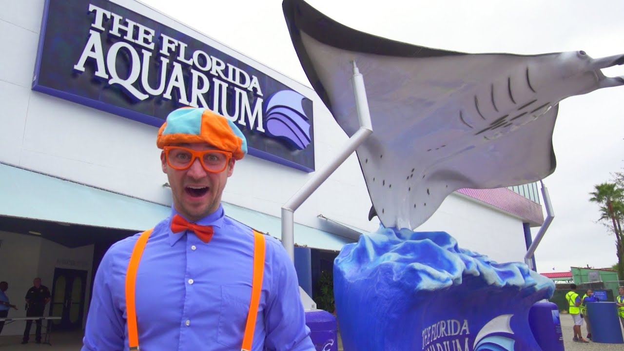 blippi sea animals - Youtube Kids