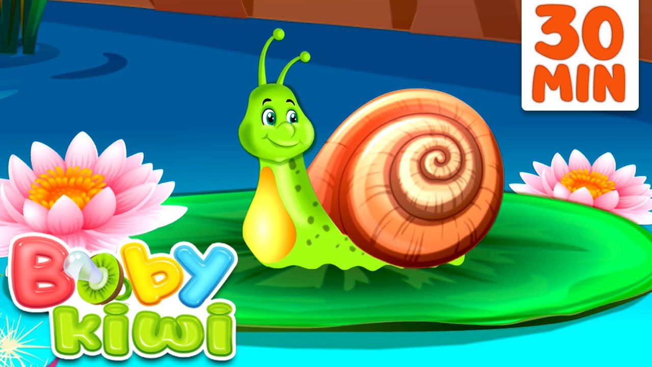 the best snail songs - Youtube Kids