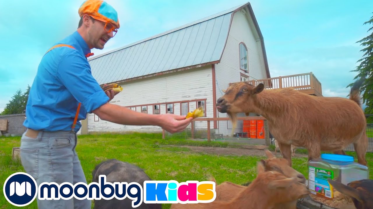 blippi farm animals song - Youtube Kids