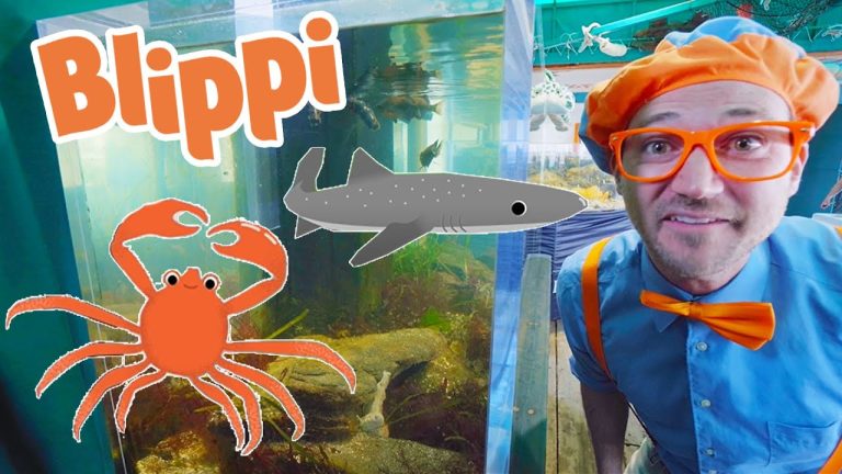 sea creatures - Youtube Kids