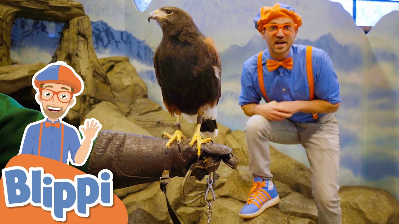 flippy - Youtube Kids