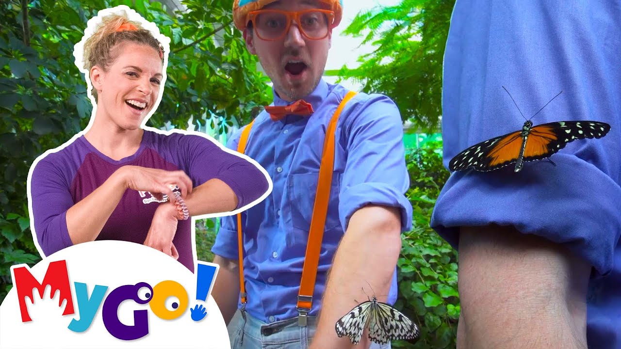 sign with blippi - Youtube Kids