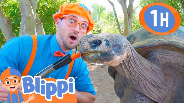 Blippi Visits a Zoo - Youtube Kids