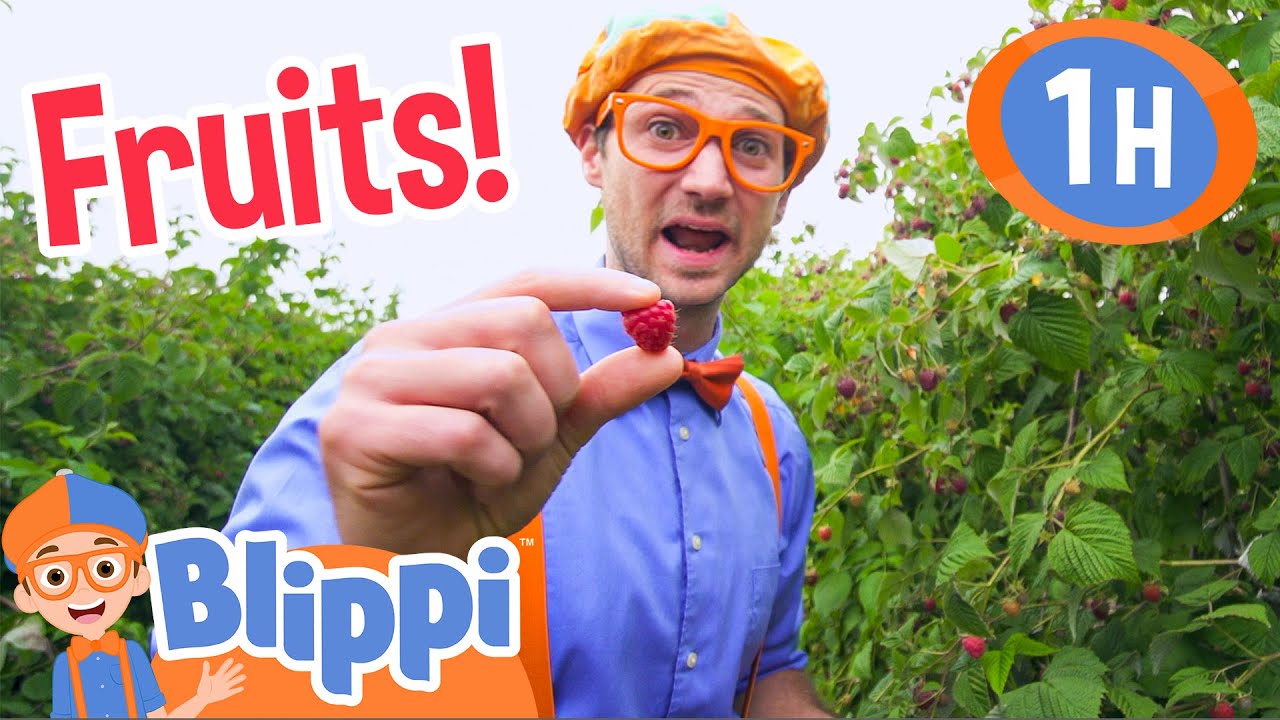 blippi visits a raspberry factory - Youtube Kids
