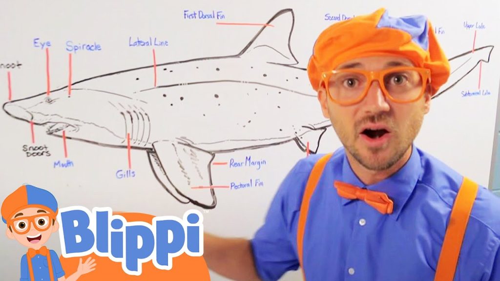 sea creatures for kids - Youtube Kids