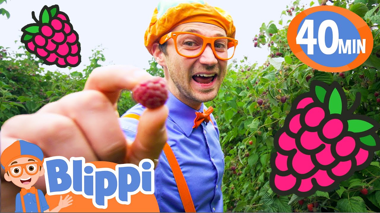 blippi visits a raspberry factory - Youtube Kids
