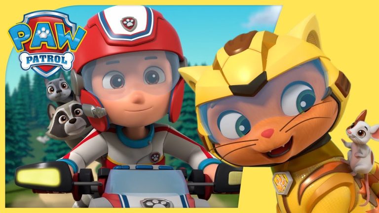 paw patrol cartoons - Youtube Kids