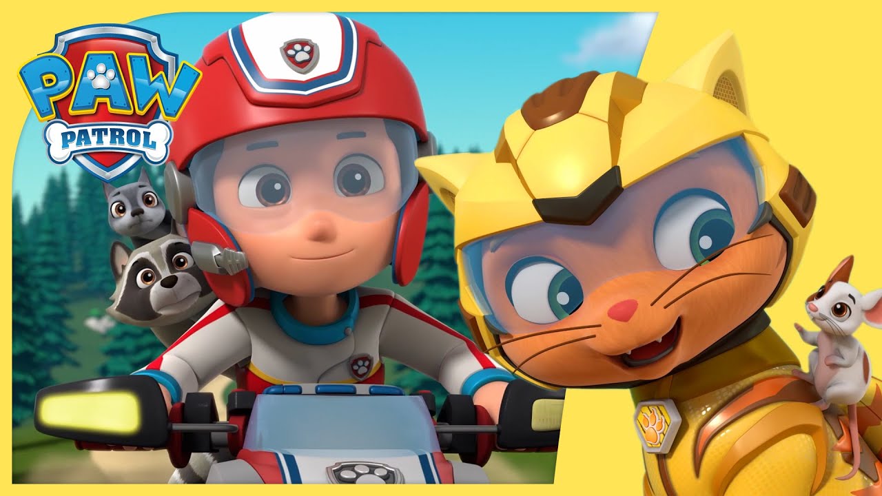 paw patrol cartoons - Youtube Kids