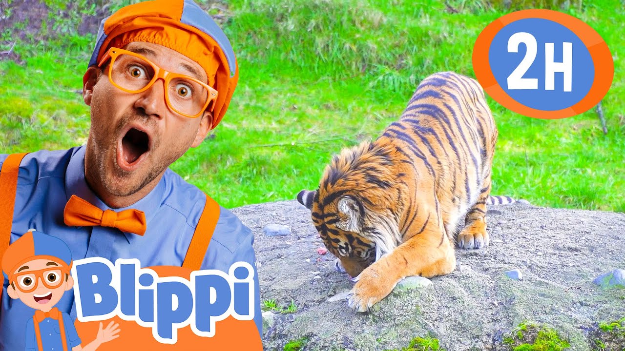Blippi USA - Youtube Kids