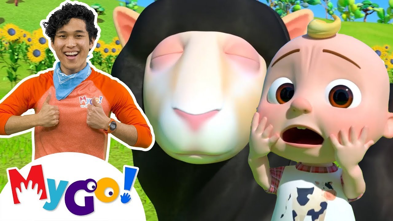 cocomelon sign language - Youtube Kids