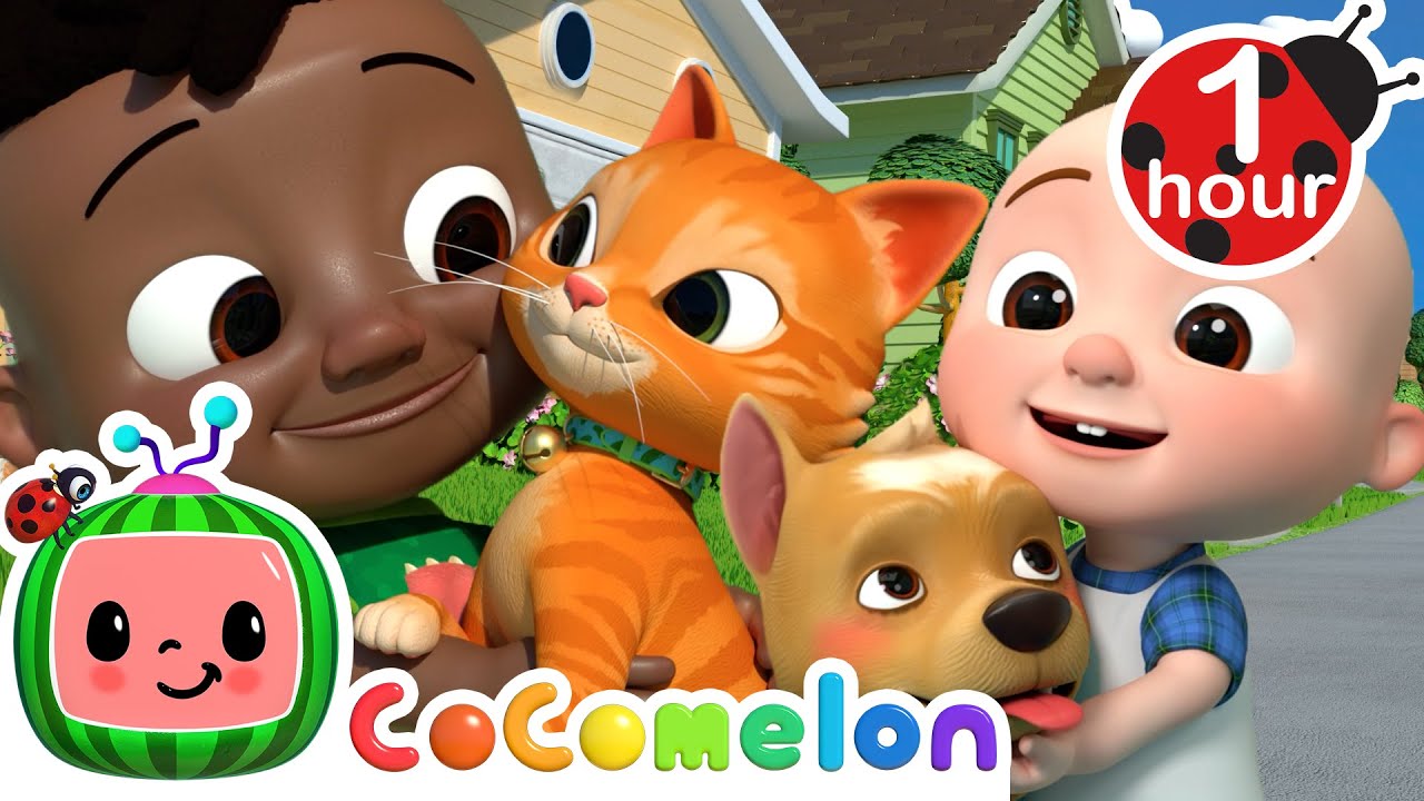 bingo cocomelon - Youtube Kids