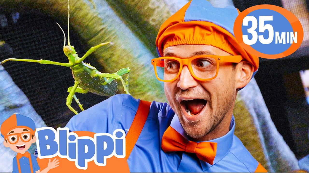 insects - Youtube Kids