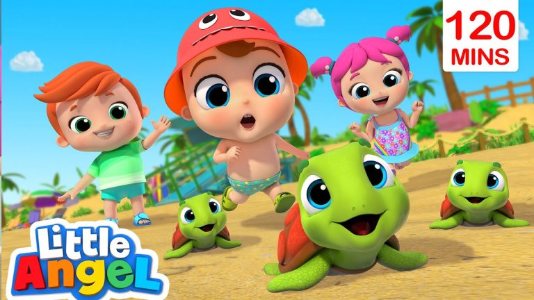 turtles - Youtube Kids