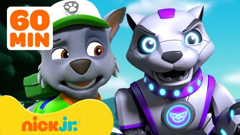 paw patrol 1 hour - Youtube Kids