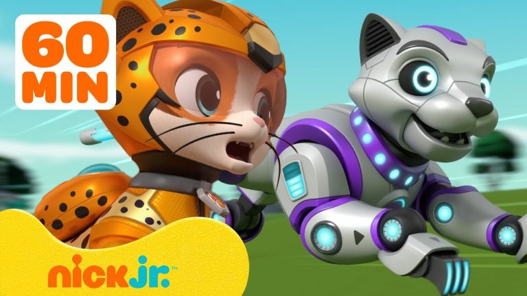 paw patrol 1 hour - Youtube Kids