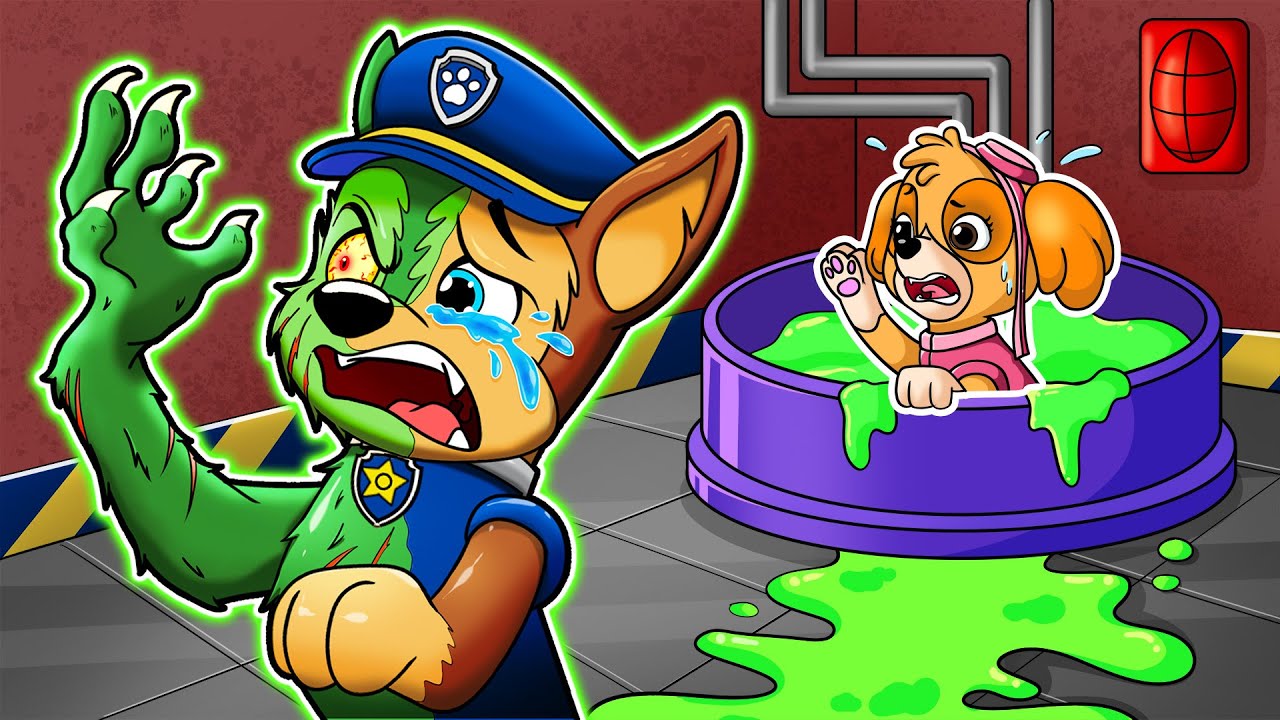 Oh No!! What Happened To Chase - Youtube Kids