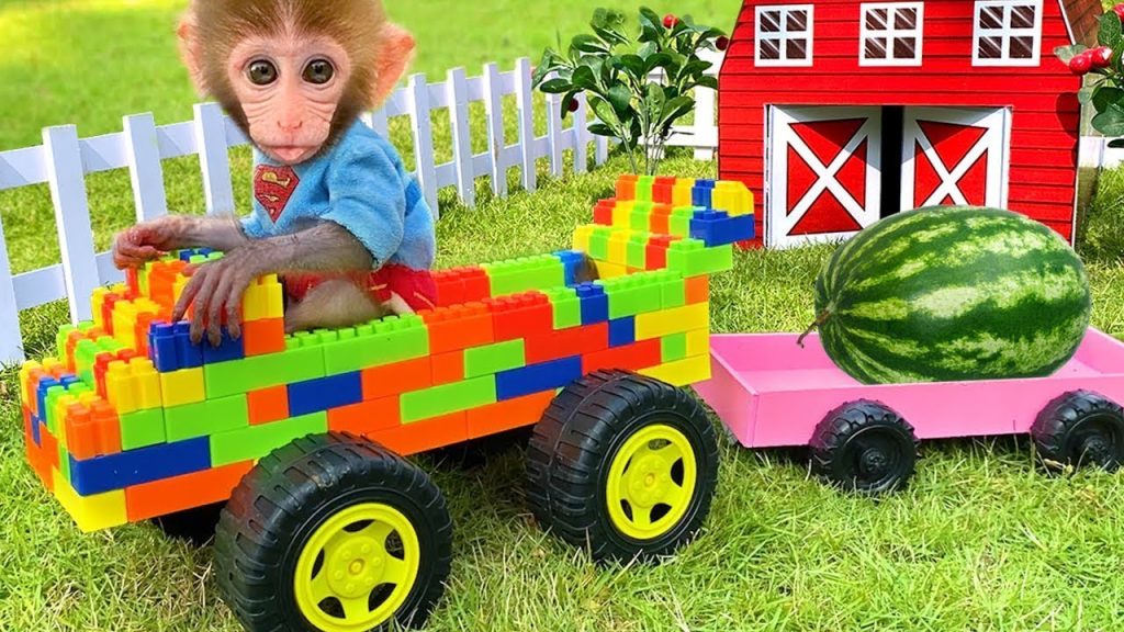 bon bon monkey - Youtube Kids