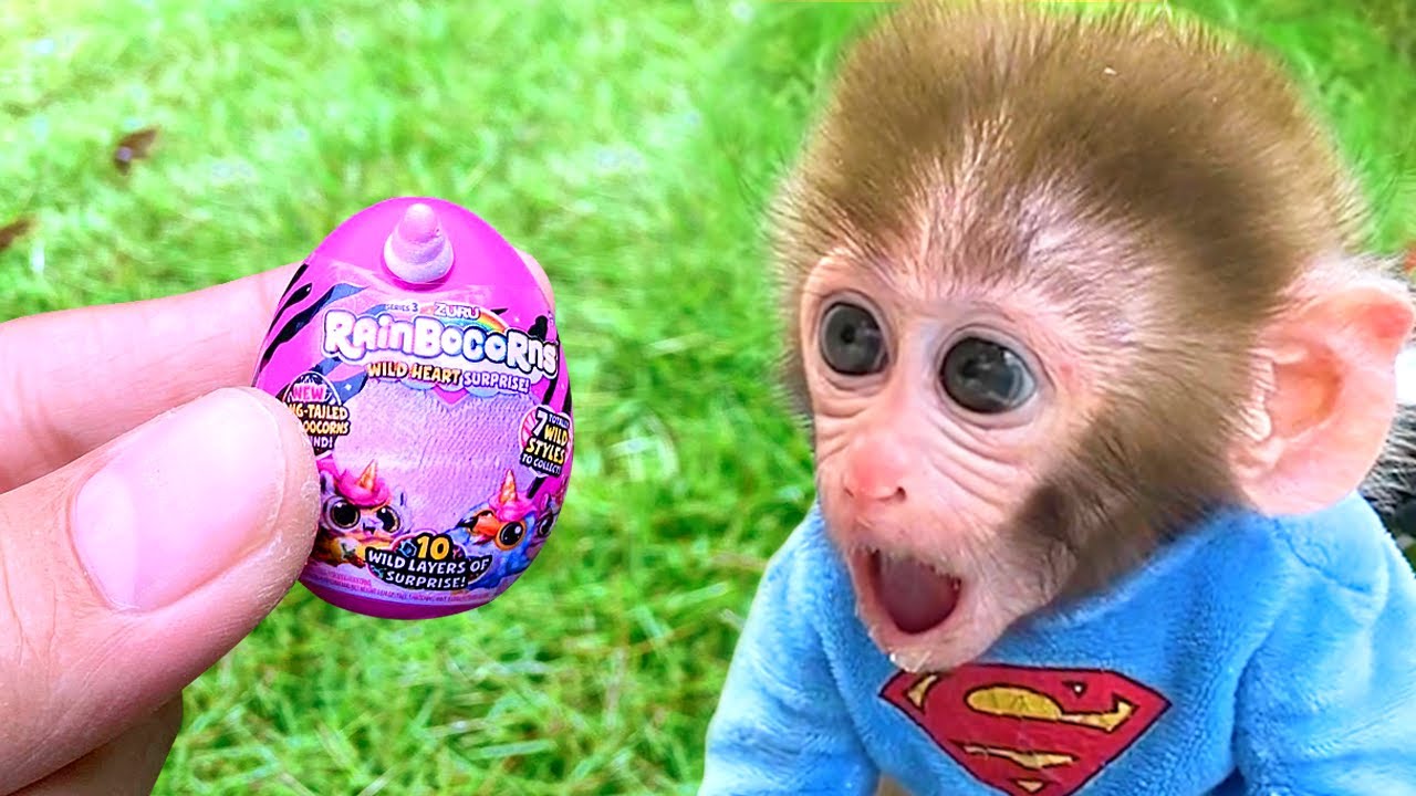 monkey baby - Youtube Kids