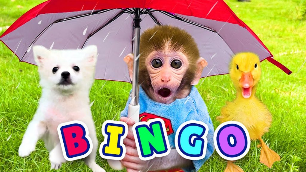 monkey baby - Youtube Kids