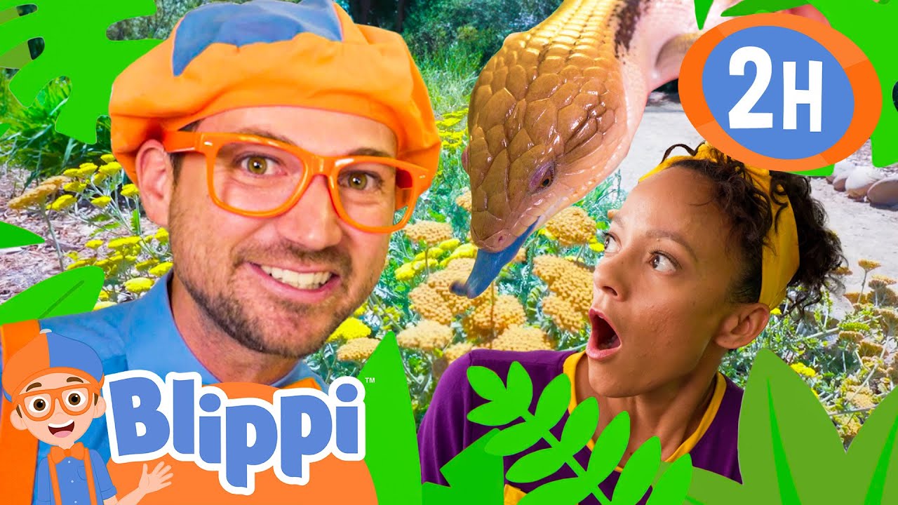 blippi full episodes - Youtube Kids