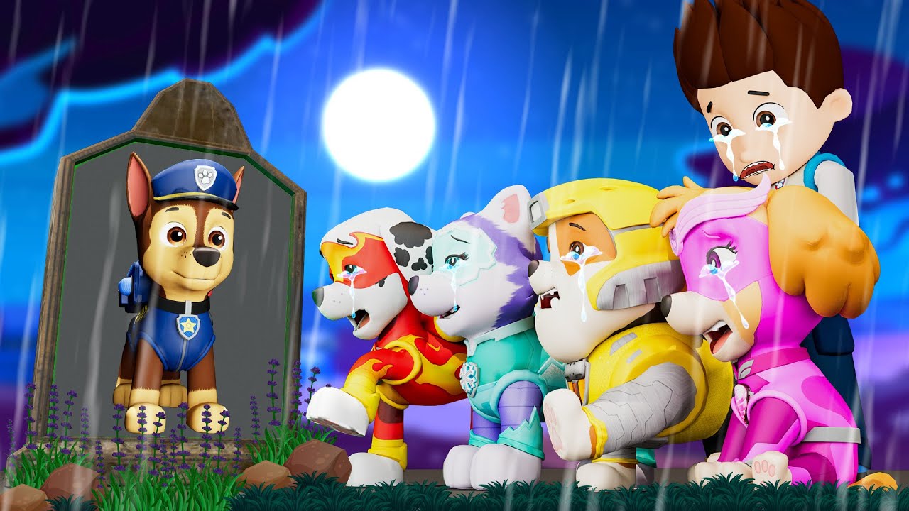 cat meme - Youtube Kids