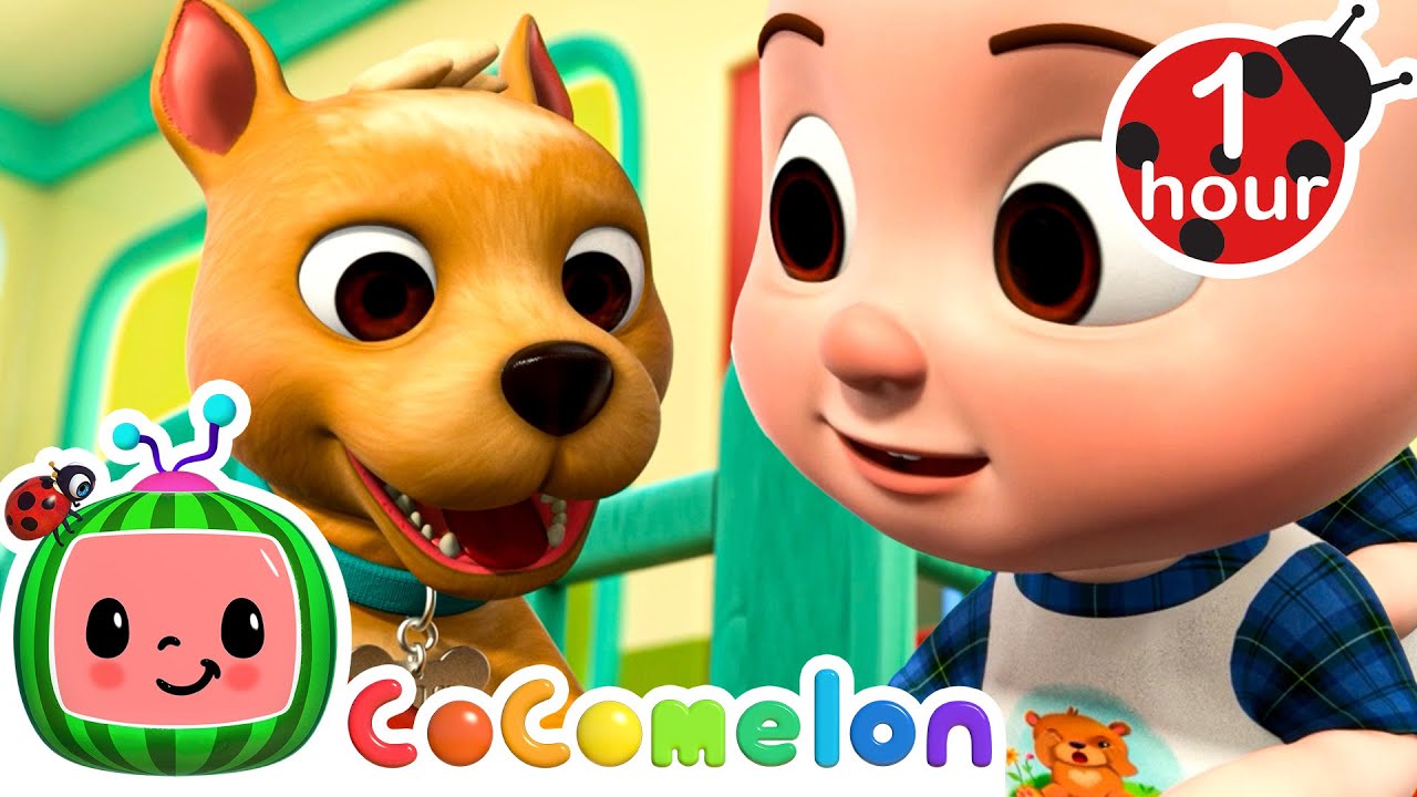 cocomelon baby - Youtube Kids