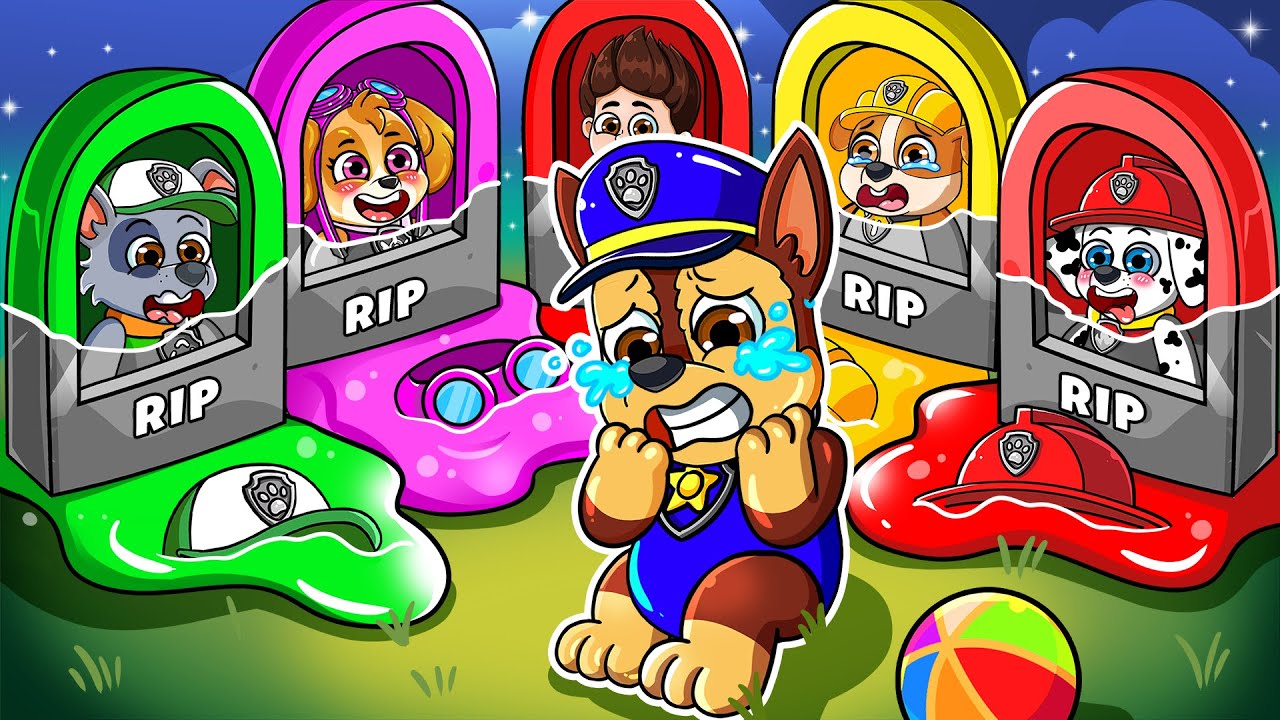 paw patrol 2d animation - Youtube Kids