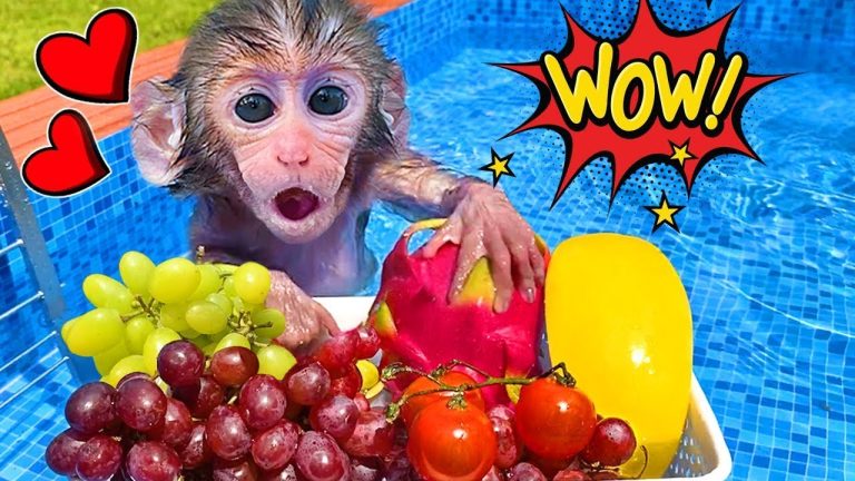 bon bon monkey - Youtube Kids