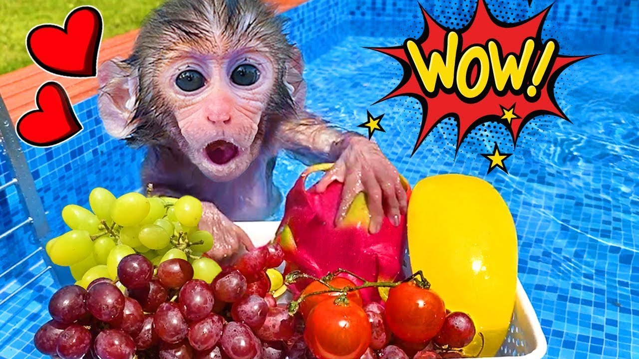 bon bon monkey - Youtube Kids