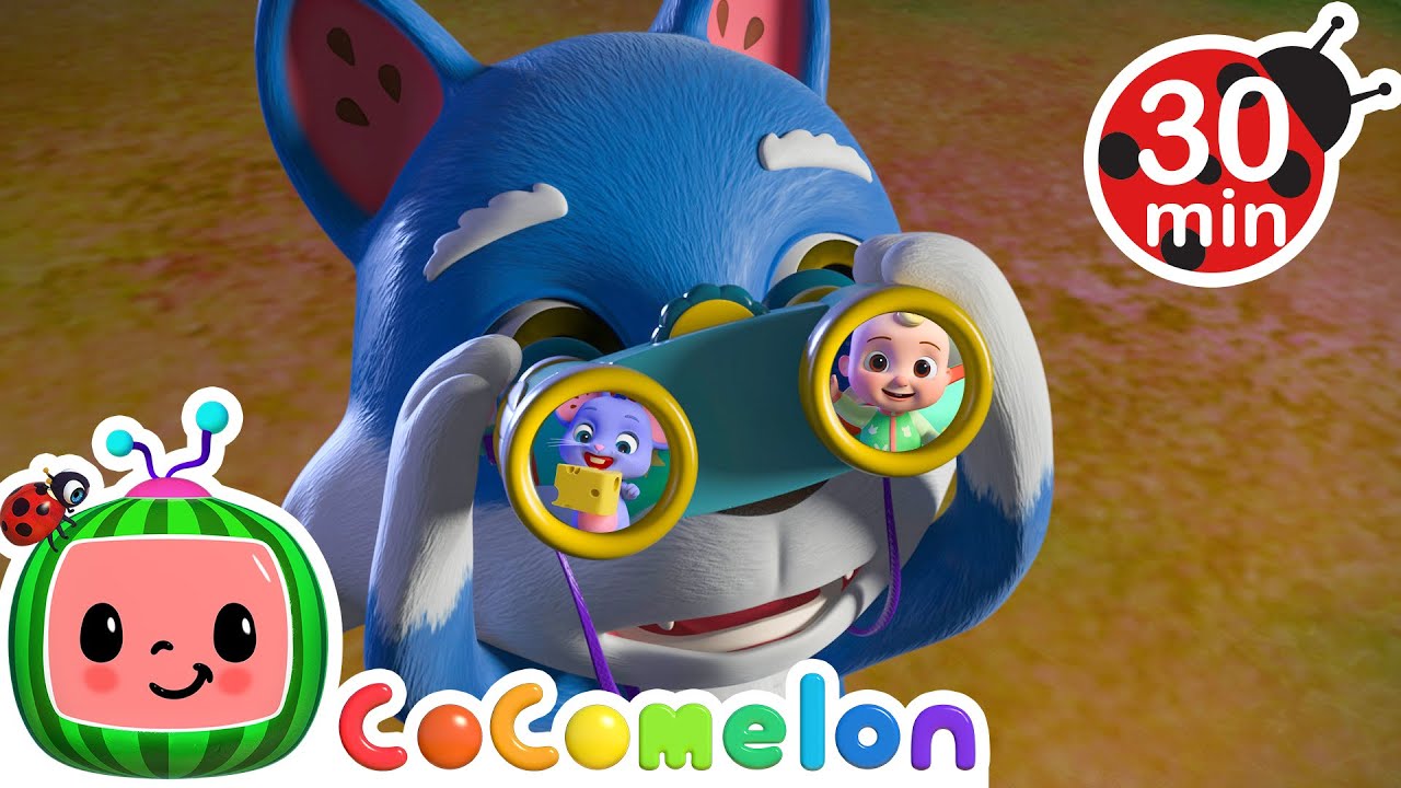 Cocomelon Jj S Animal Time Kids