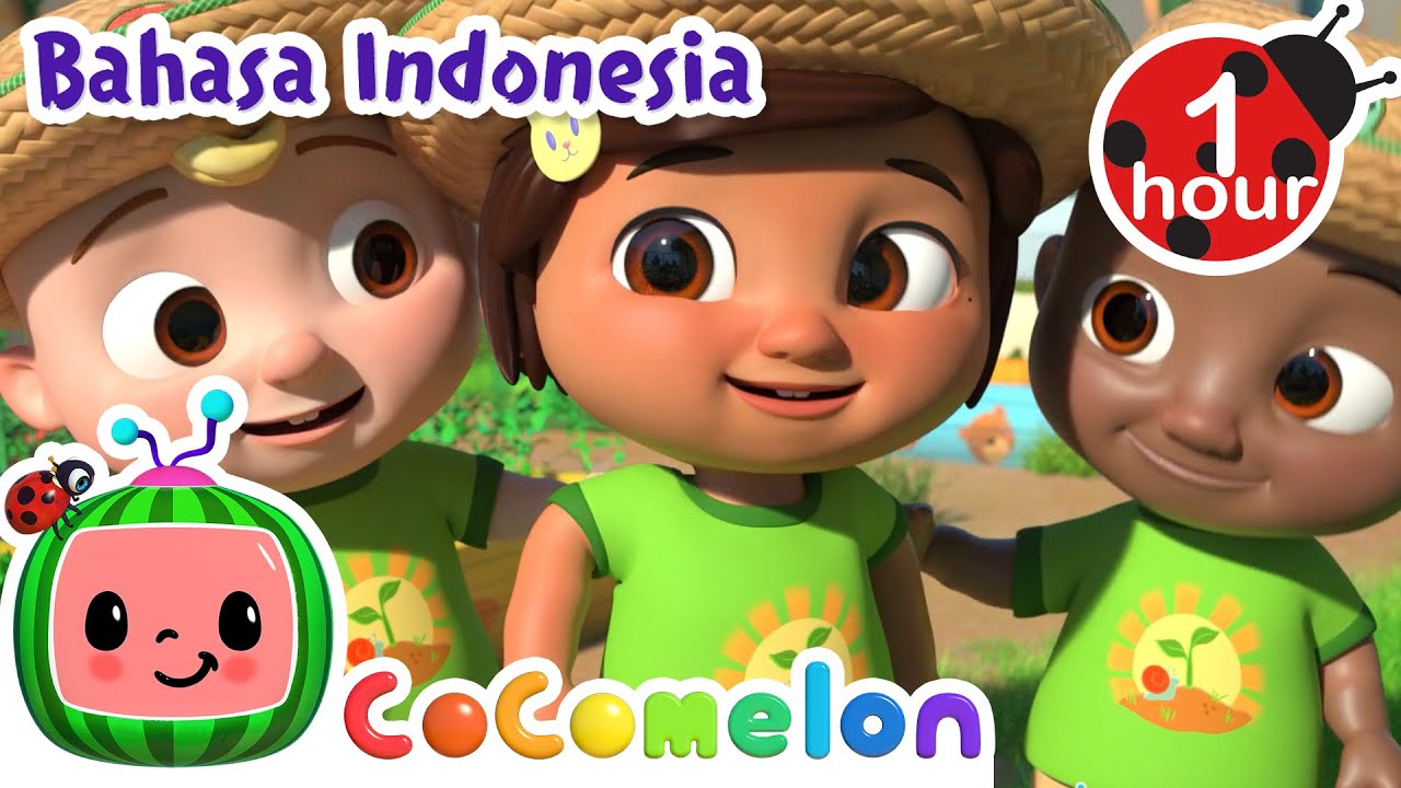 Belajar dengan CoComelon - Youtube Kids