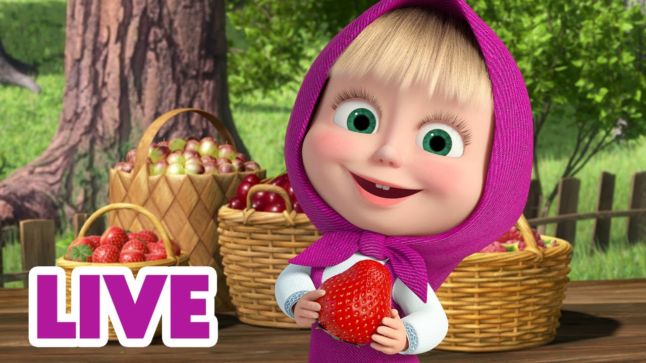 Beruang - Youtube Kids