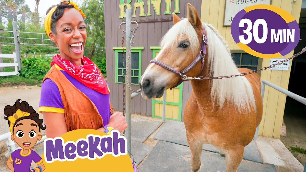 blippi and meekah - Youtube Kids