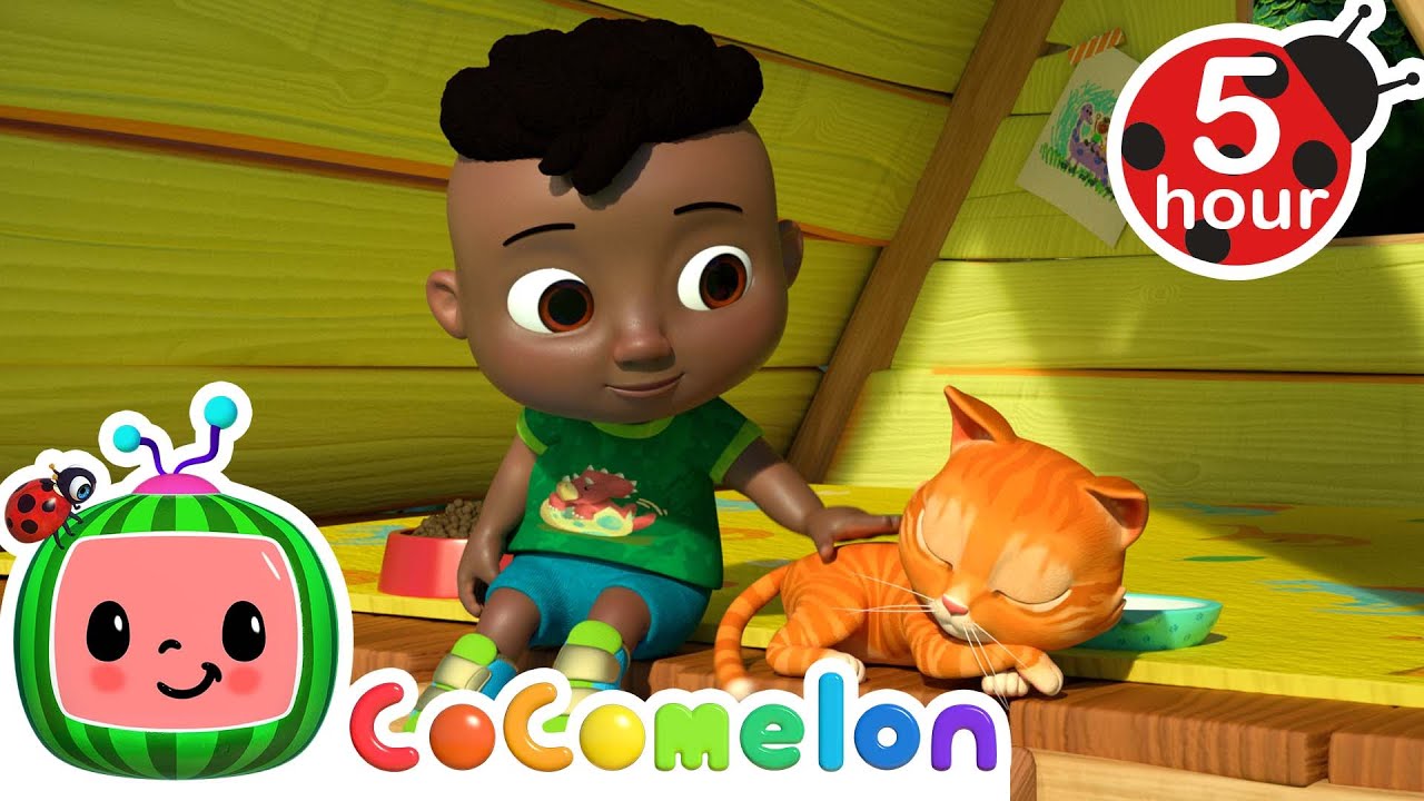 JJ and Cody - Youtube Kids