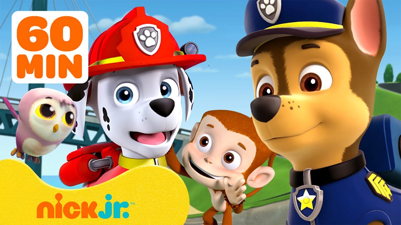 paw patrol spanish - Youtube Kids