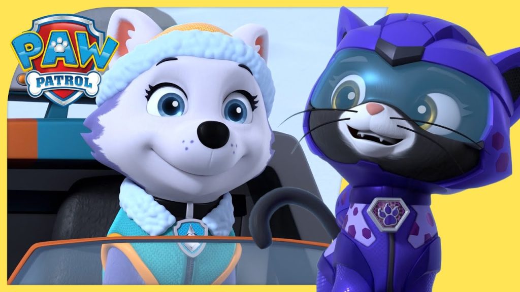 paw patrol cartoons - Youtube Kids