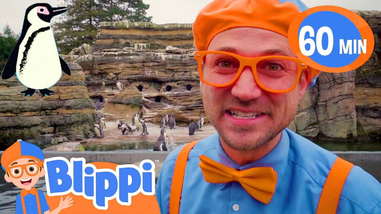 Blippi Toys - Youtube Kids