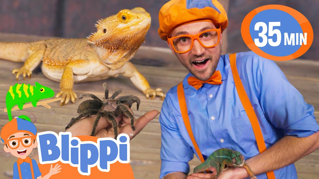 blippi full episodes - Youtube Kids