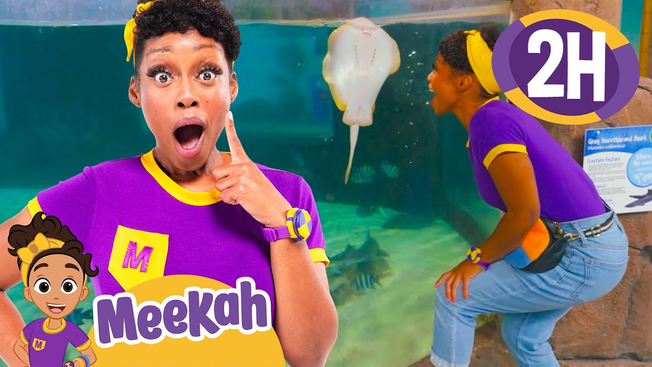 monster trucks - Youtube Kids