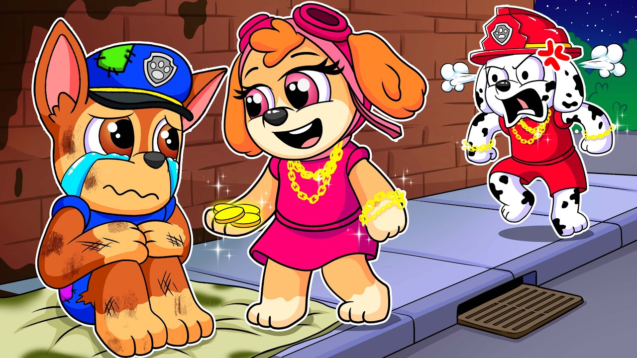 Paw Chase - Youtube Kids