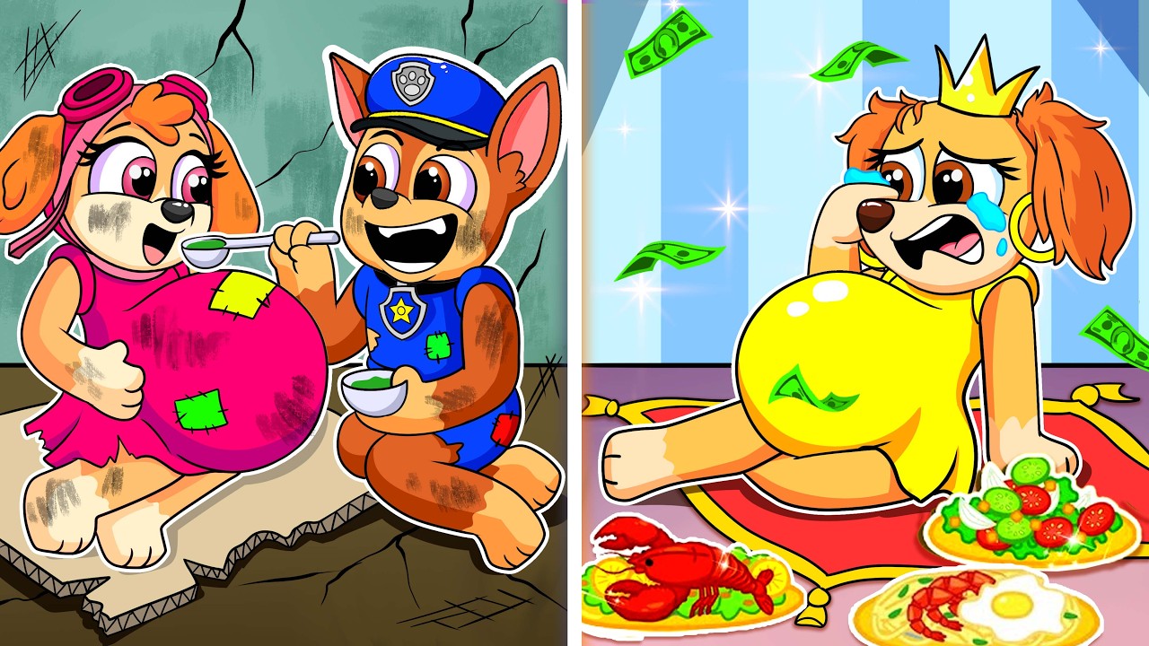 paw patrol baby cartoon - Youtube Kids