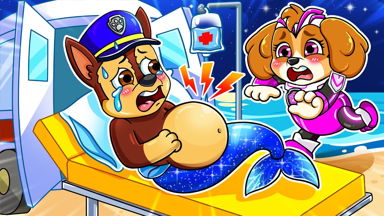 paw patrol the mighty movie brewing cute baby - Youtube Kids