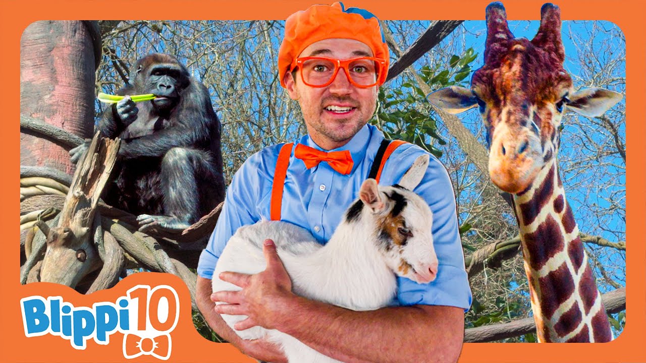 blippi safari - Youtube Kids