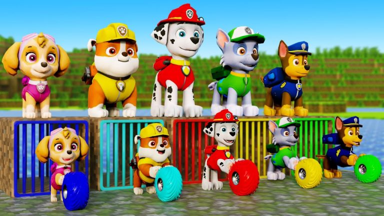 animals transformation - Youtube Kids