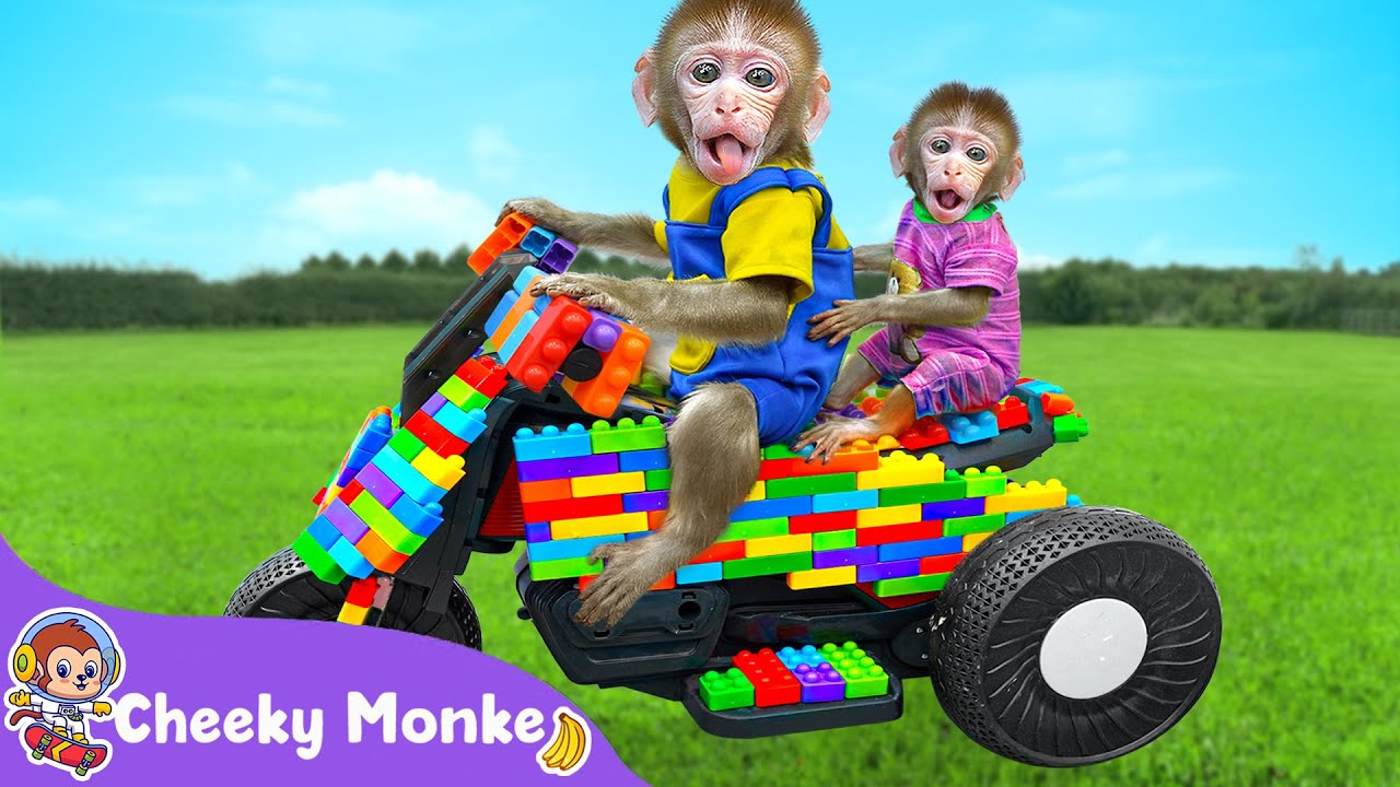 monkey video - Youtube Kids