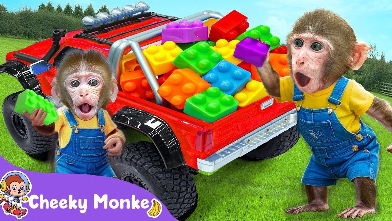 cheeky monkey driving - Youtube Kids