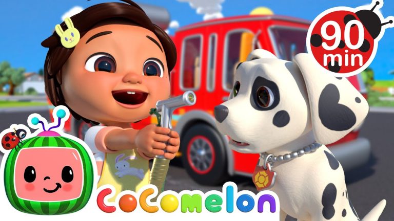 cocomelon animals for kids - Youtube Kids